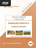 Sementes Recalcitrantes e Ortodoxas | PDF | Semente | Umidade