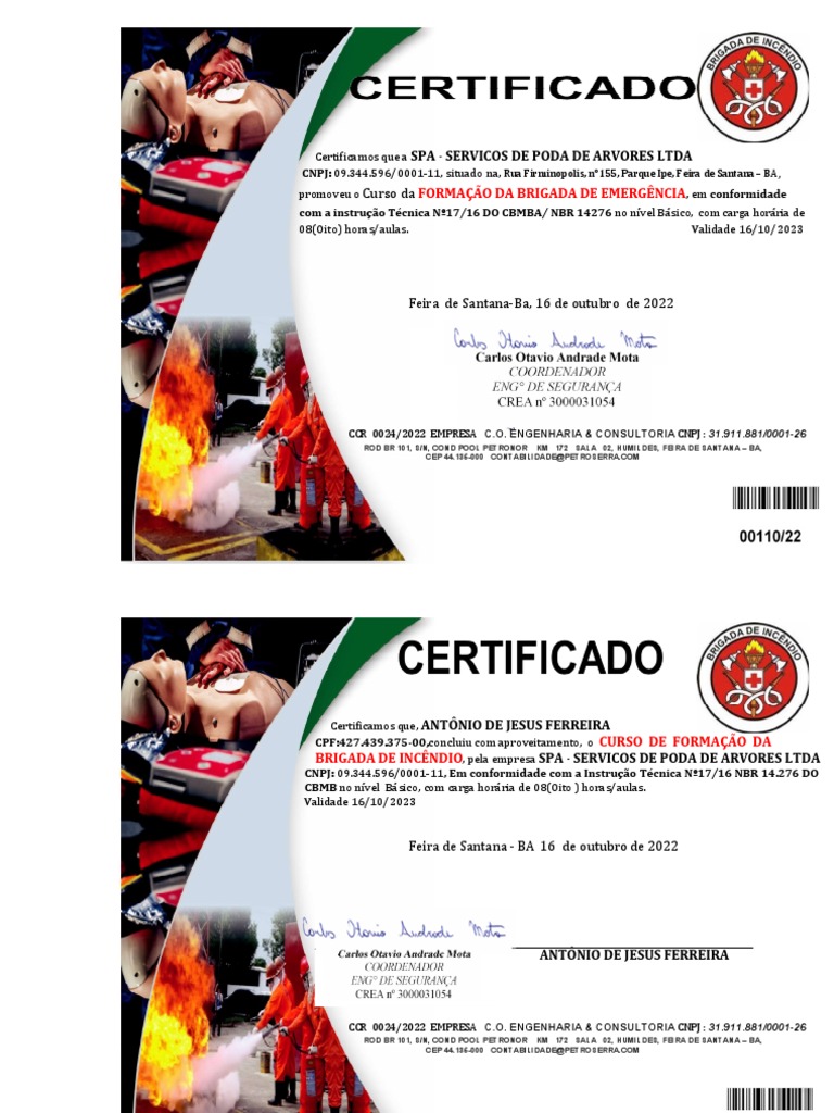 Certificados Da Brigada | PDF | Natureza | Química
