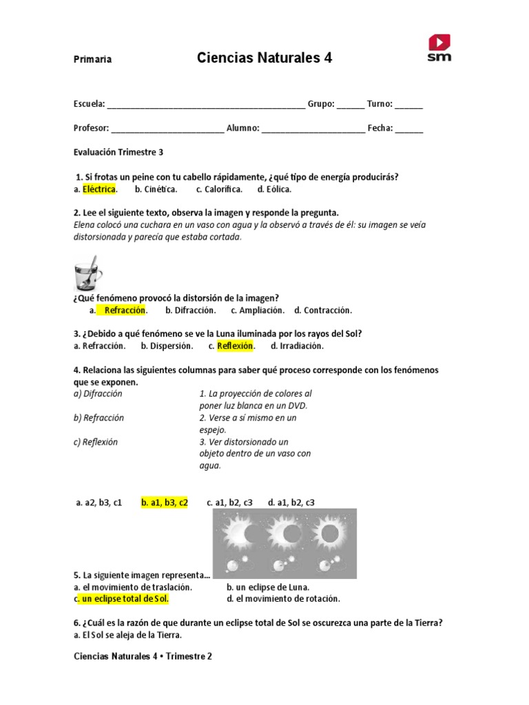 Ciencias Naturales 4 Evaluacion Trimestre 3 Solucionario | PDF | Hongo | Dom