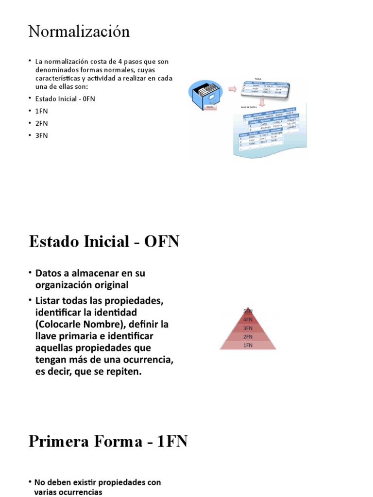 Normalizaci N | PDF | Informática | Gestión de tecnología de la información