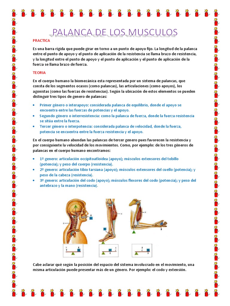 Biomecánica: Palancas en el Cuerpo Humano | PDF | Historia