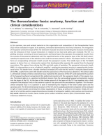 Understanding SIJ: Form and Force Closure | PDF | Pelvis | Vertebral Column
