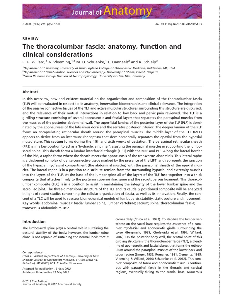 Anatomy of Thoracolumbar Fascia | PDF | Vertebra | Vertebral Column