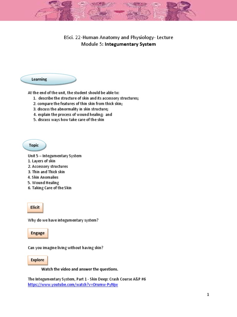 Anatomy Lec Module 5 | PDF | Skin Anatomy Lec Module 5 | PDF | Skin