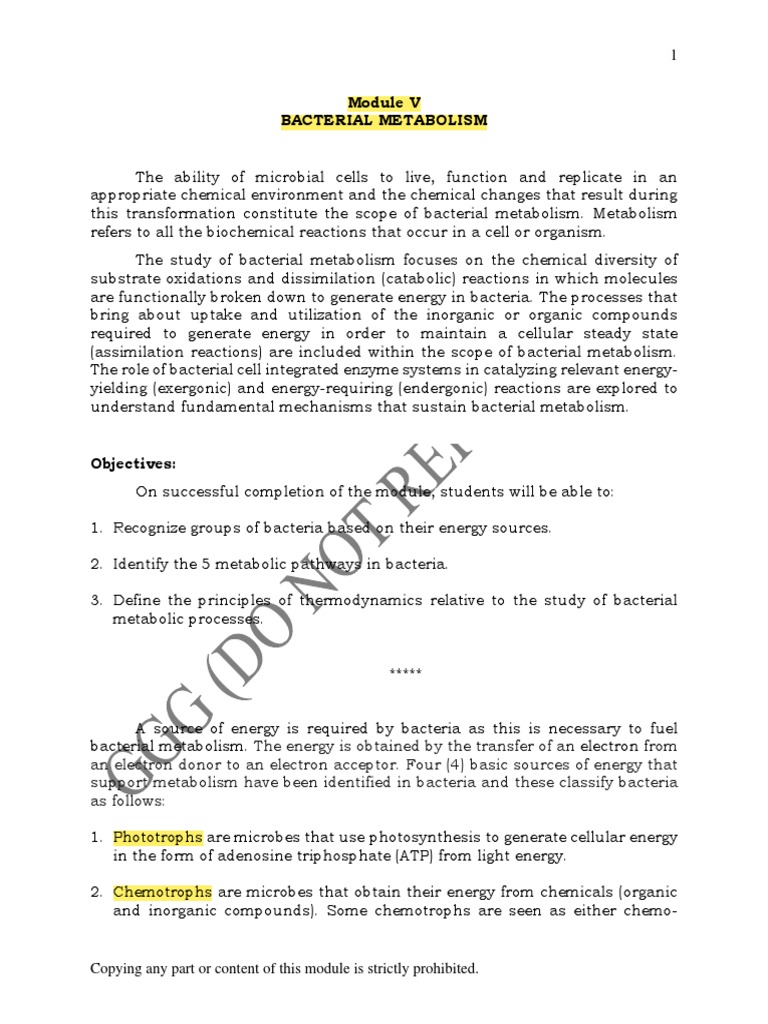 Module 5. Bacterial Metabolism | PDF | Glycolysis | Diet & Nutrition
