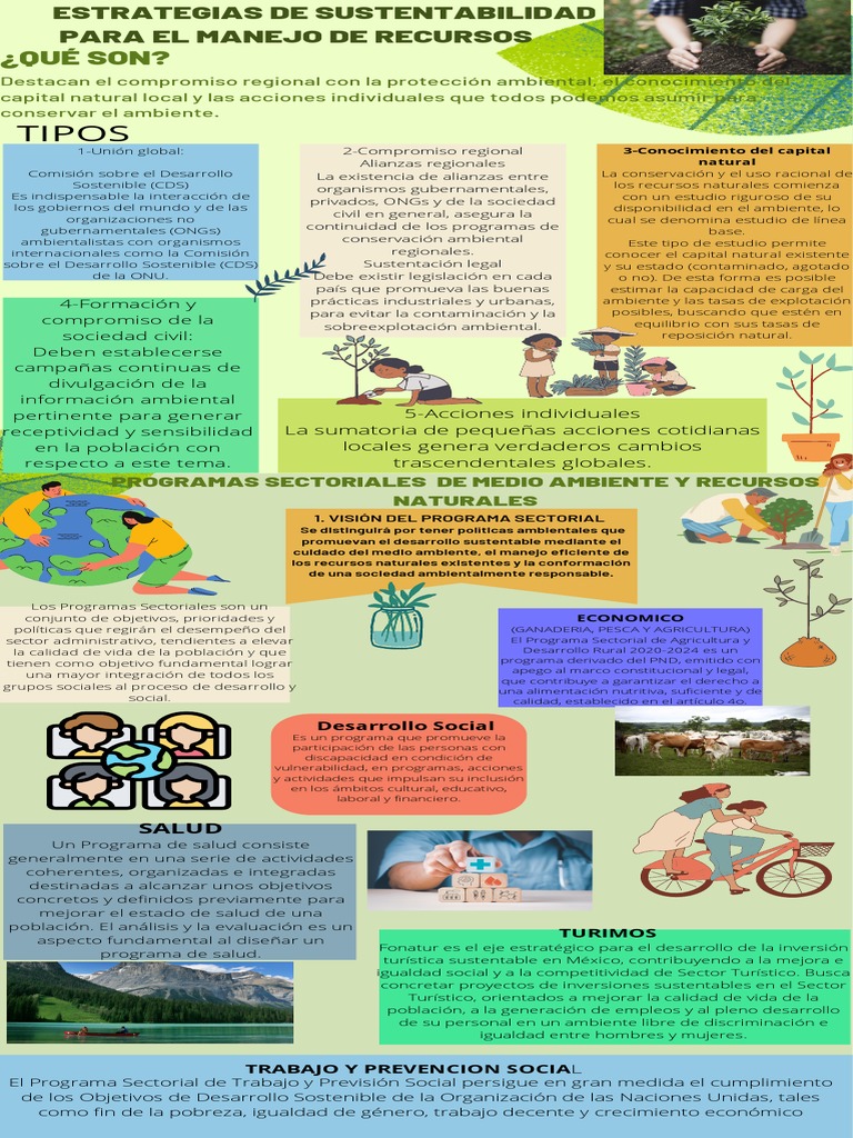 Infografía Sobre El Cuidado de Los Ecosistemas | PDF