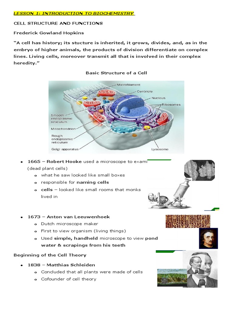 Biochem Prelim Pdf Carbohydrates Cell Biology