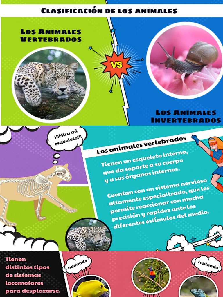 Animales Vertebrados e Invertebrados | PDF