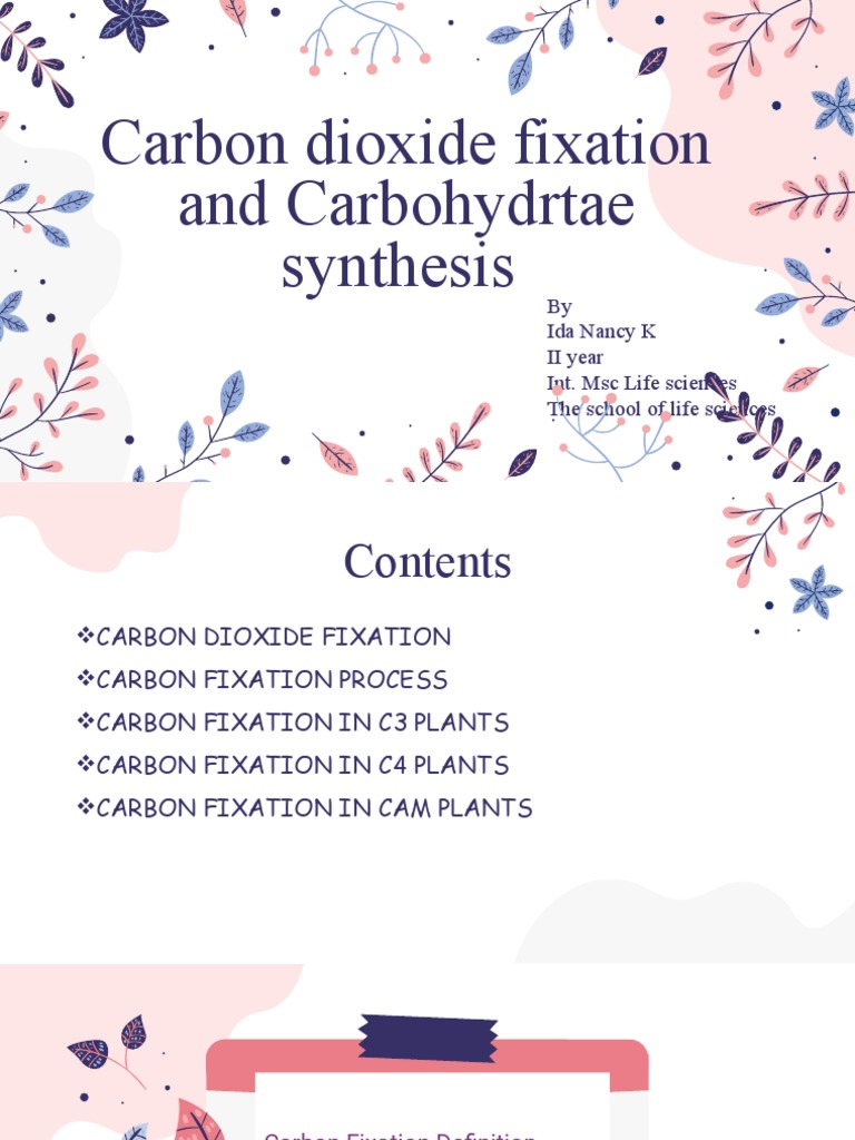 Co2 Fixation | PDF