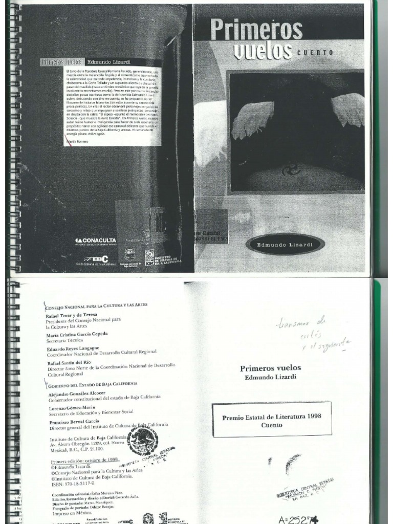 Edmundo Lizardi - Primeros Vuelos | PDF