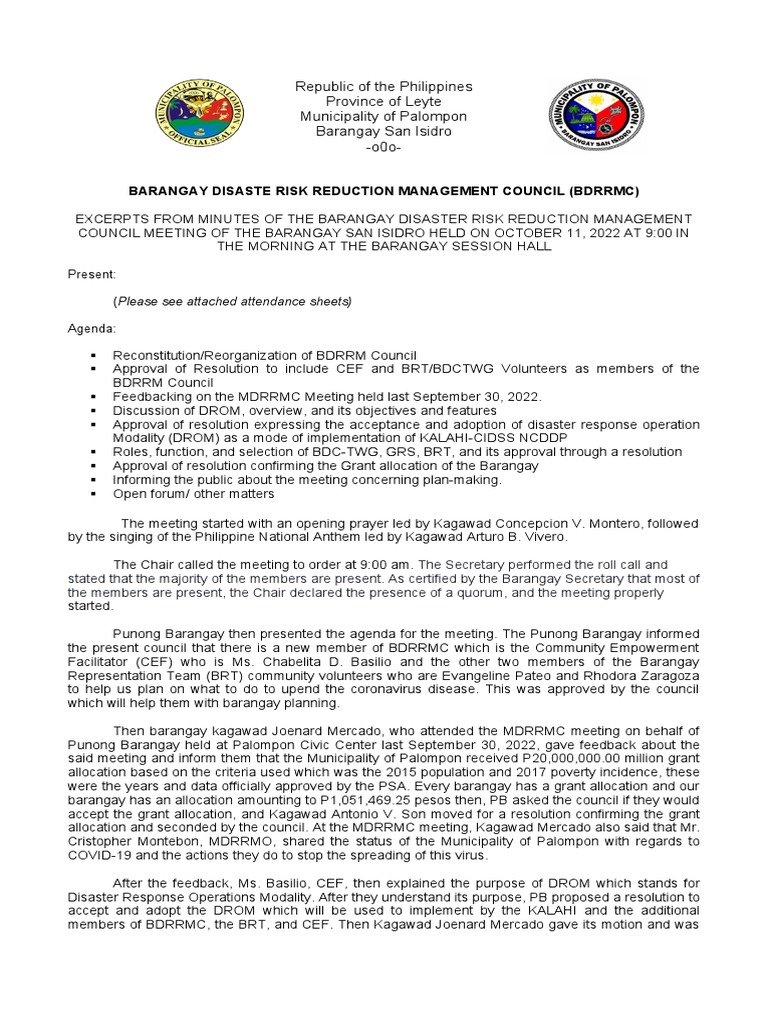 BDRRMC Minutes | PDF