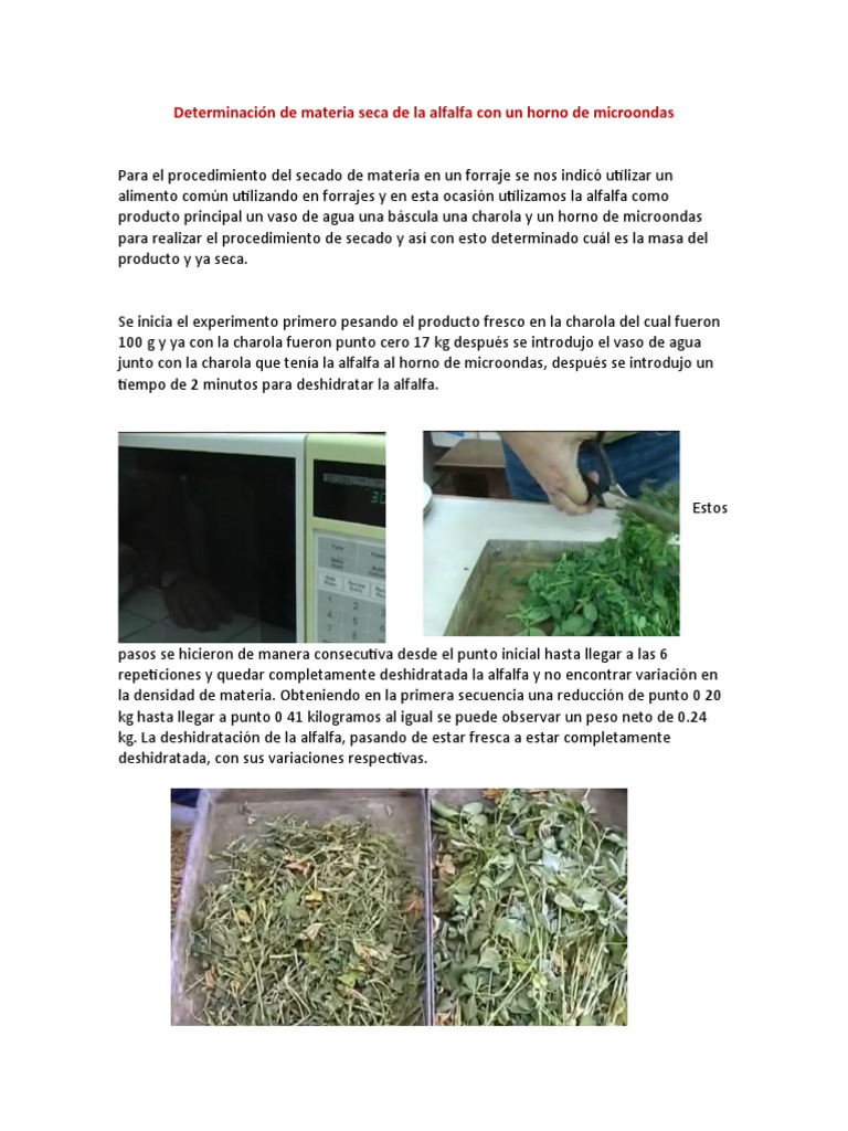 Secado de Alfalfa en Microondas | PDF | Hogar, jardinería y bricolaje