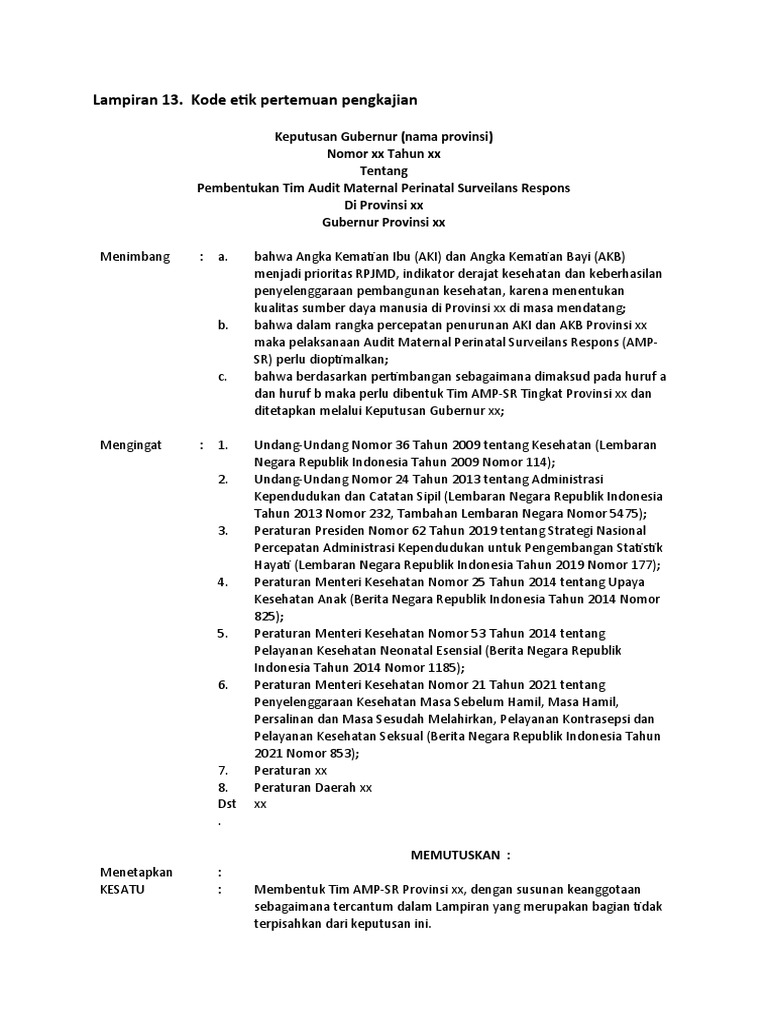 Lampiran 13-SK Komite AMPSR | PDF