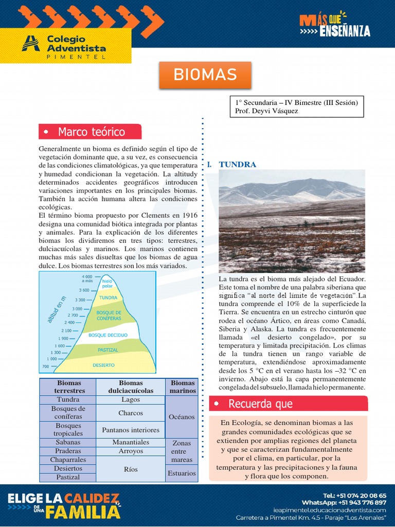BIOMAS - 1° Secundaria | PDF | Selva | Conservación del medio ambiente