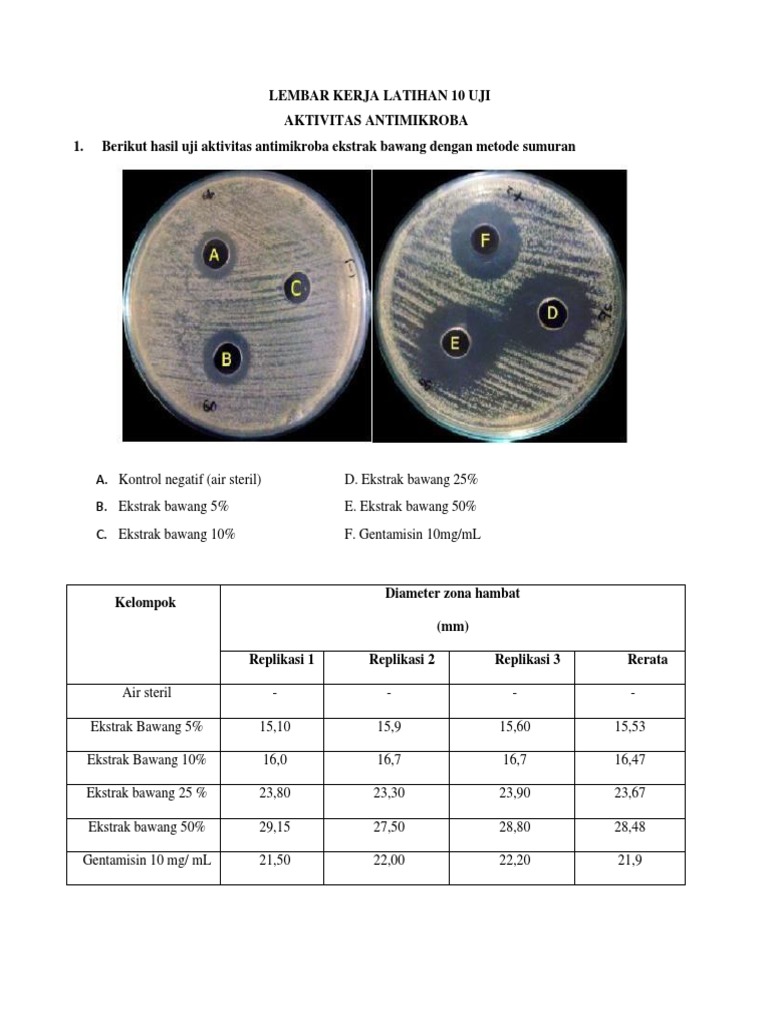 Lembar Kerja Pertemuan 12 - Uji Antimikroba | PDF