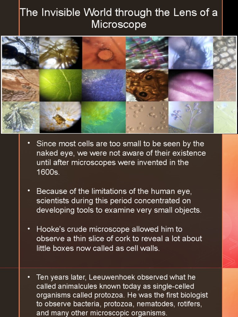 The Invisible World Through The Lens of A | PDF | Microscope | Electron ...