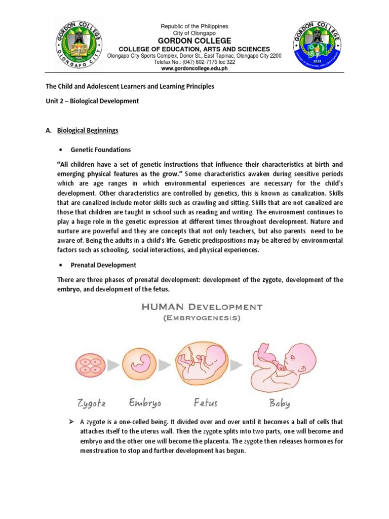Unit 2 Biological Development | PDF | Schema (Psychology) | Cognitive ...