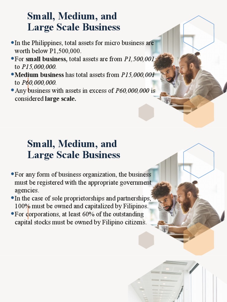 Small Medium and Large Scale Business Swot | PDF