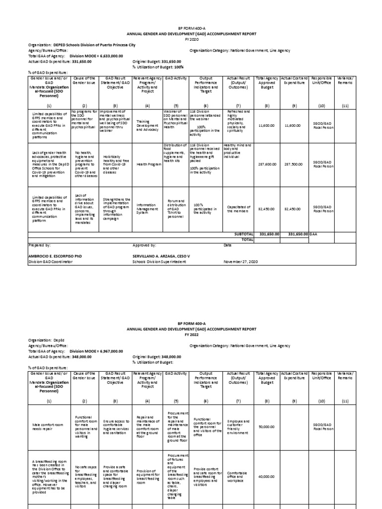 2022 GAD Annual Plan and Budget New Format | PDF | Preventive ...