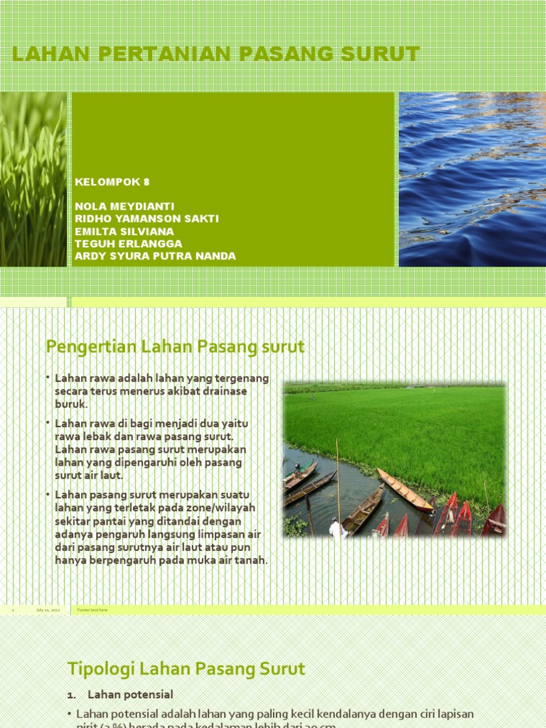 Lahan Pertanian Pasang Surut | PDF