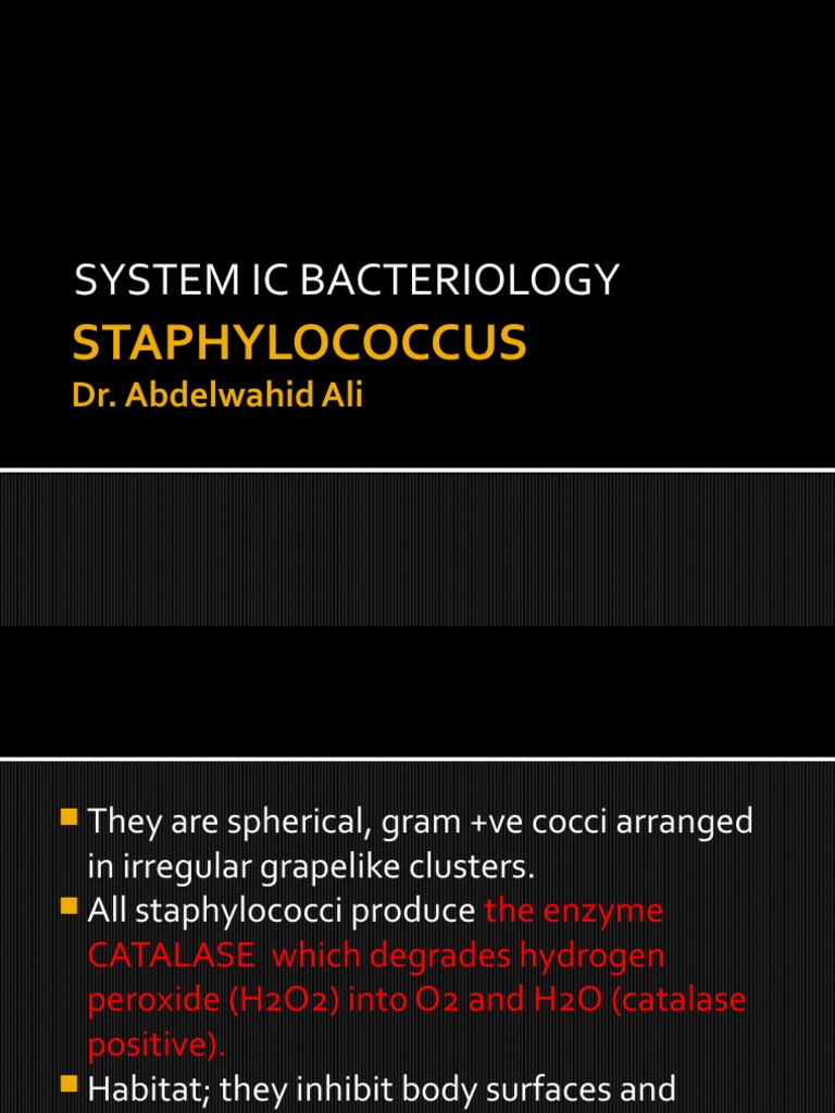 1 - Systemic Bacteriology | PDF | Streptococcus | Staphylococcus