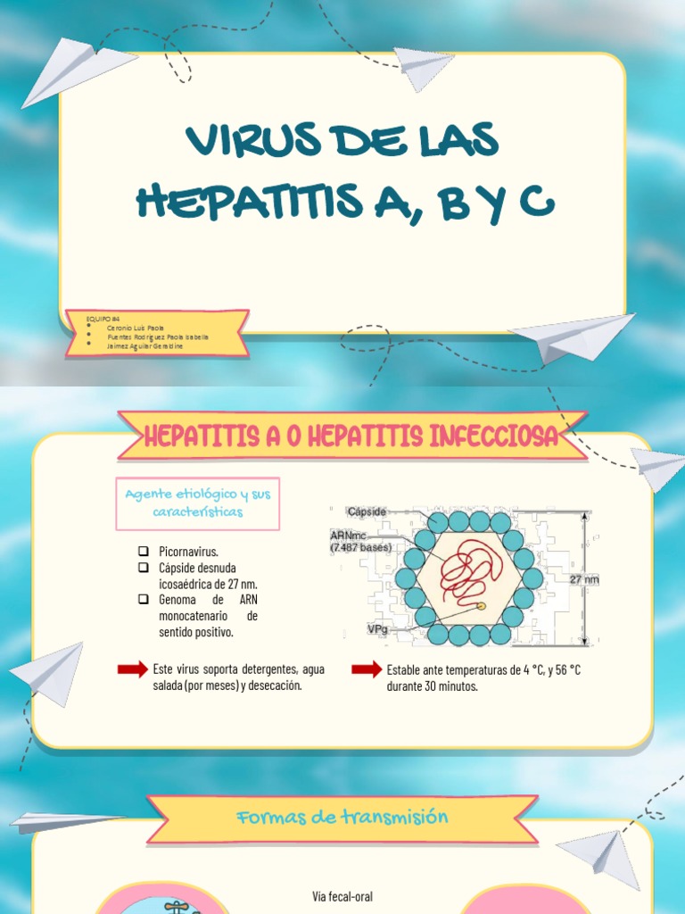 Virus de Hepatitis A, B y C | PDF