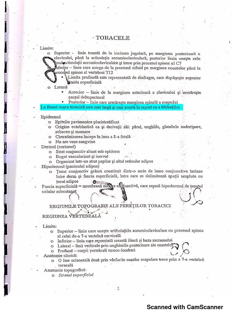 Anatomie Rezumat 1.2 | PDF