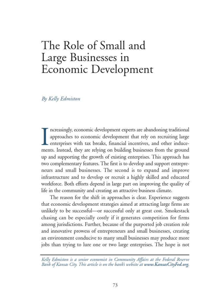 The Role of Small and Large Businesses in Economic Development | PDF