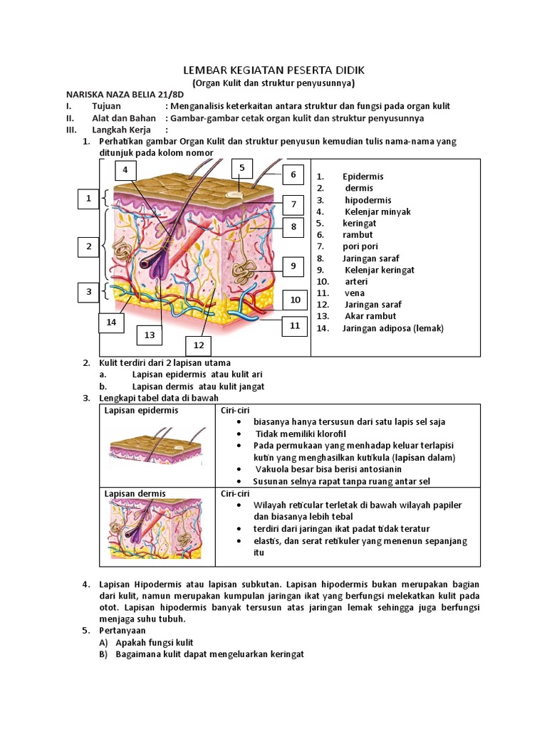 4 - LKPD Organ Kulit (1) NARISKA 21 8D | PDF