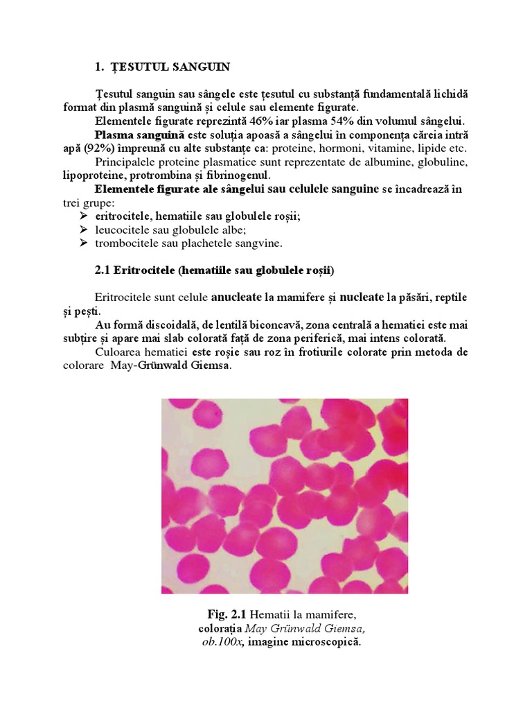 Tesutul Sanguin | PDF
