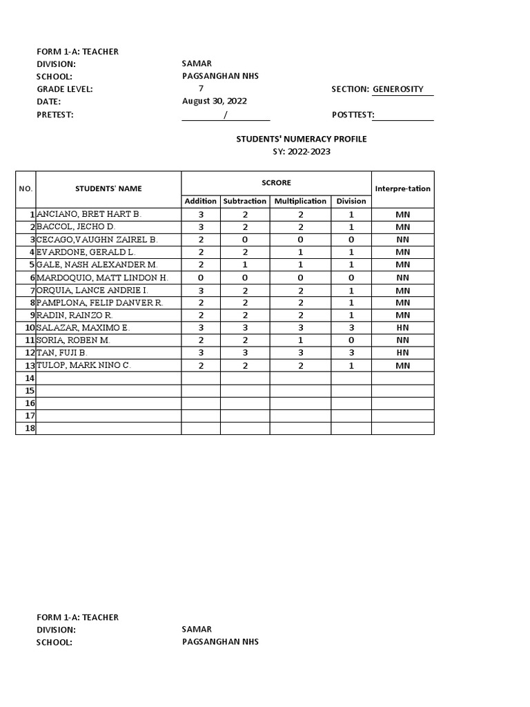 Grade 7 Numeracy Profile Report | PDF