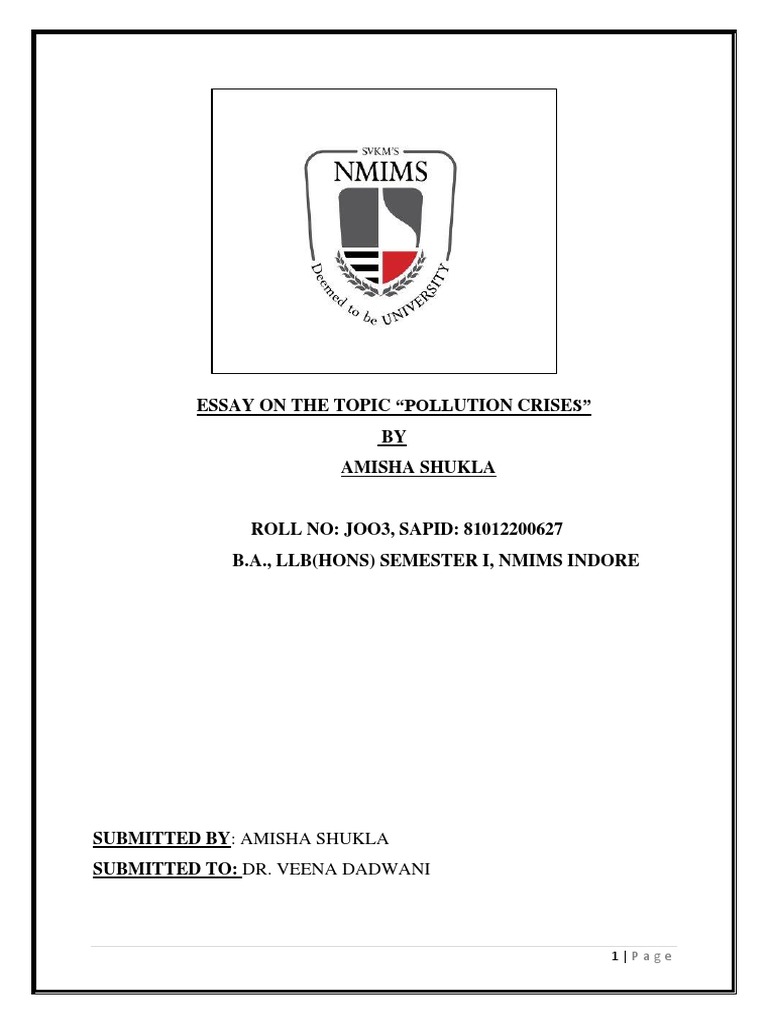 Amisha Shukla English Essay | PDF