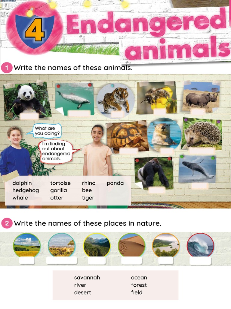 Endangered Animals | PDF