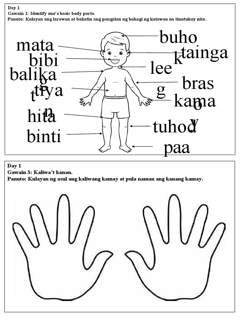 Week 6 Worksheets | PDF