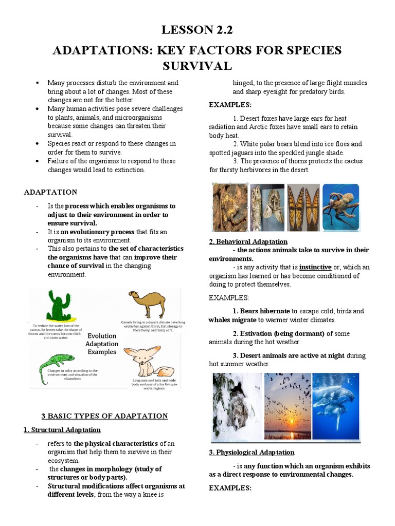 Lesson 2.2 Adaptations | PDF