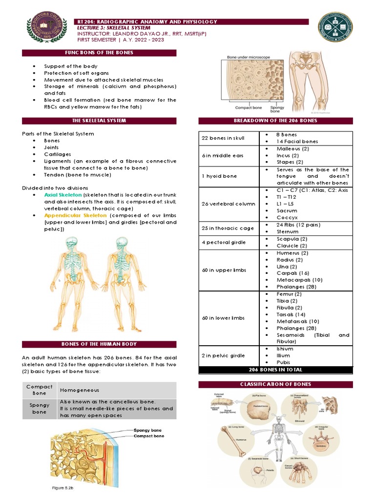 RT 204 Midterm Transes (Updated) | PDF | Bone | Skeleton