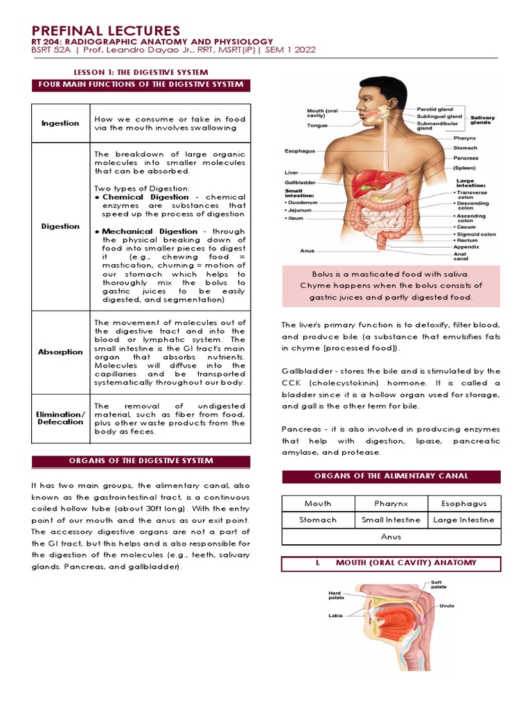 RT 204 Prefinal Transes | PDF
