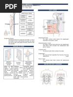 Medical Terminology Chapter 2 Study Guide | PDF