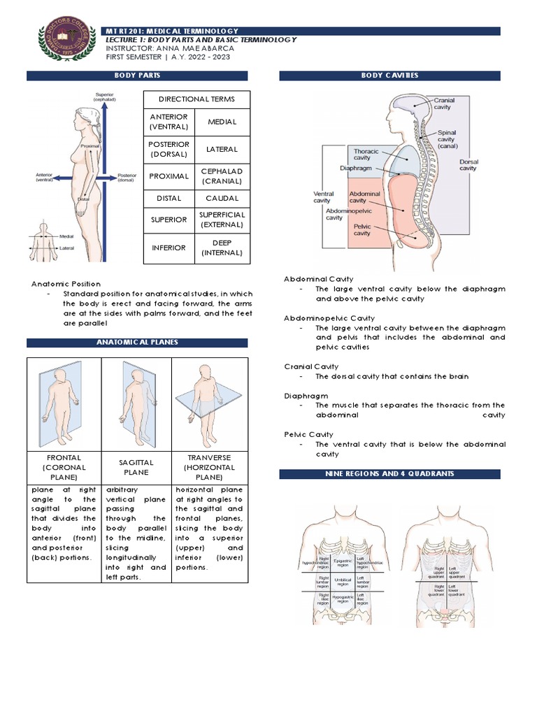 Medical Terminology Basics | PDF | Anatomical Terms Of Location | Ischemia