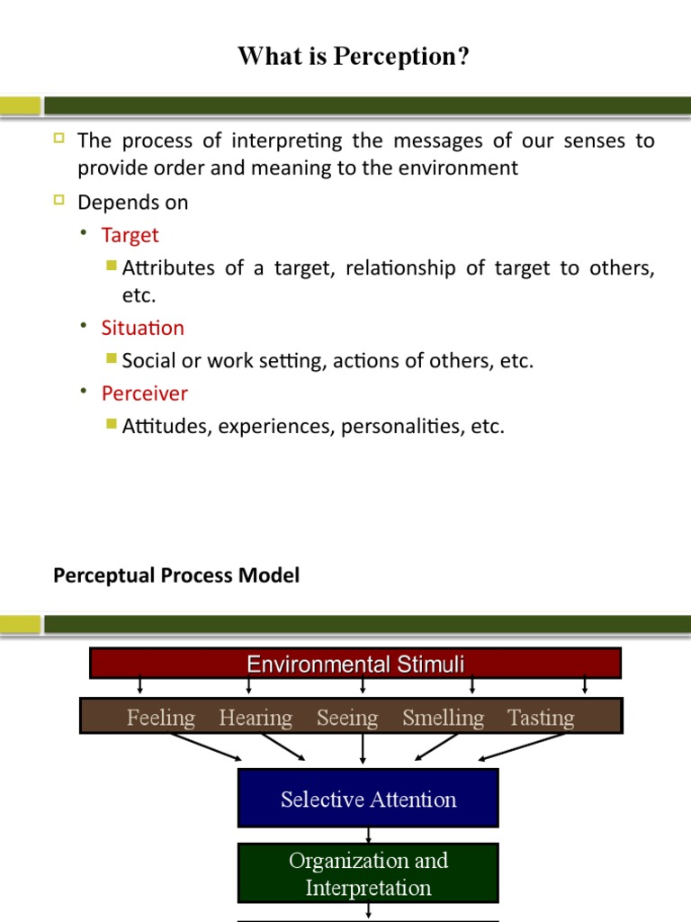Perception and Decision Making PPT For The Students | PDF | Perception ...
