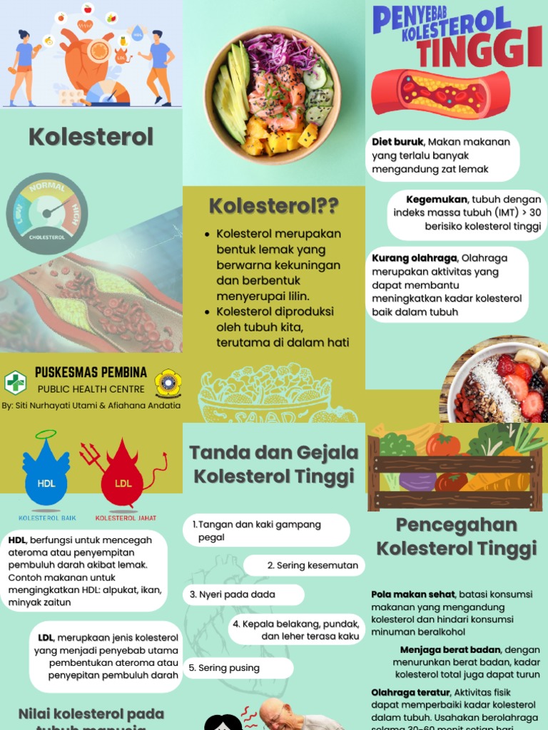 Kolesterol | PDF