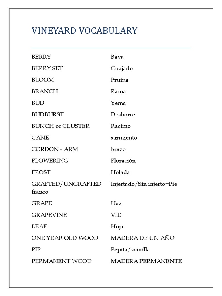Vineyard Vocabulary | PDF