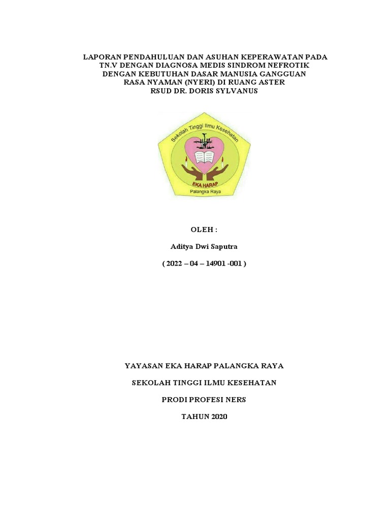 Aditya Dwi Saputra ASTER | PDF