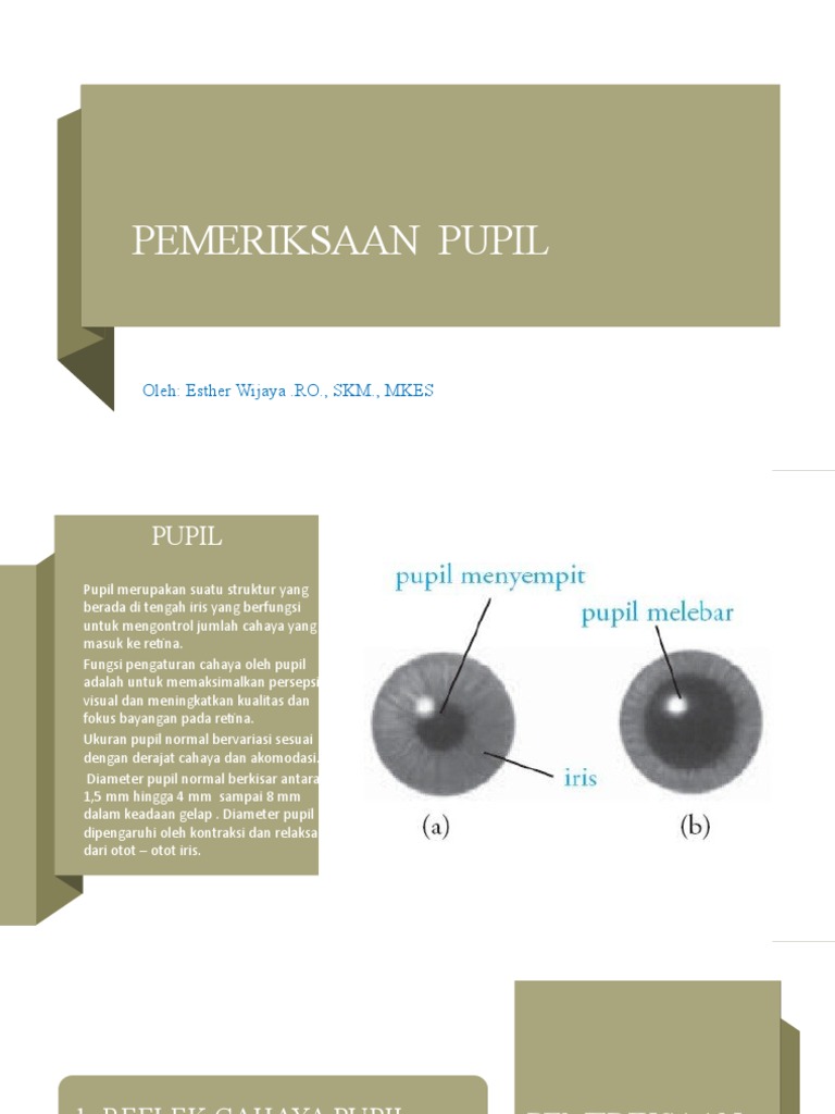 Ukuran dan Pemeriksaan Pupil Normal | PDF