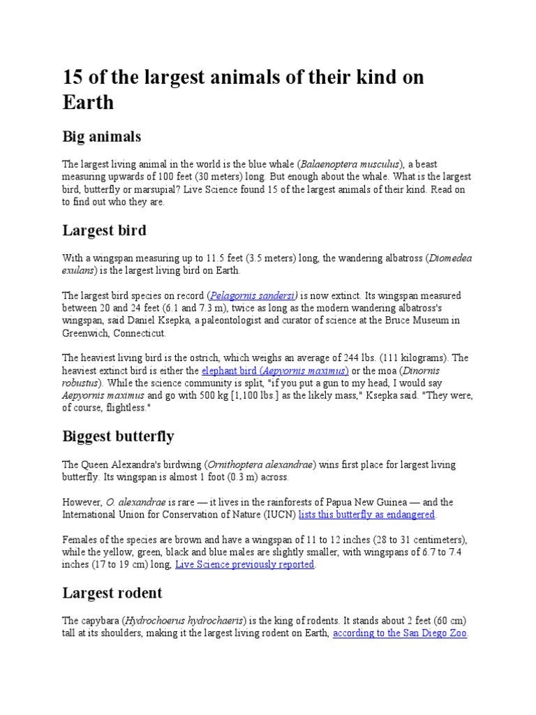 Largest Animals on Earth: Top 15 | PDF | Frog | Organisms