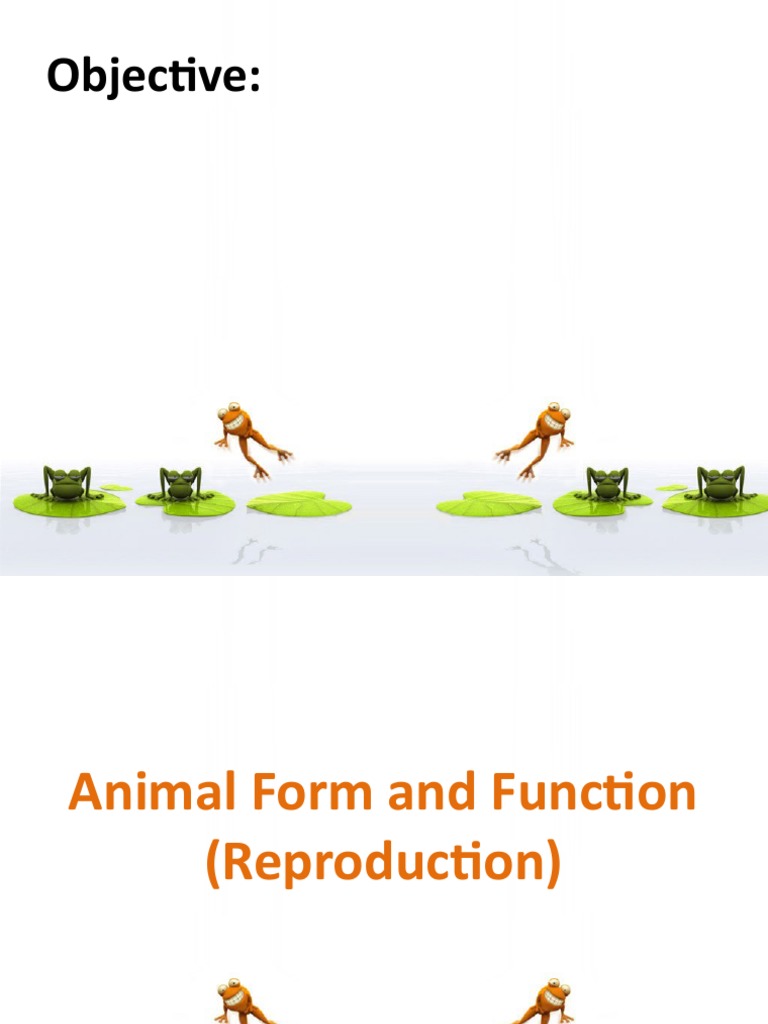 Animal Form and Function | PDF