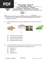 Grade 7 Health Self-Study Guide | PDF | Respiratory Tract | Lung