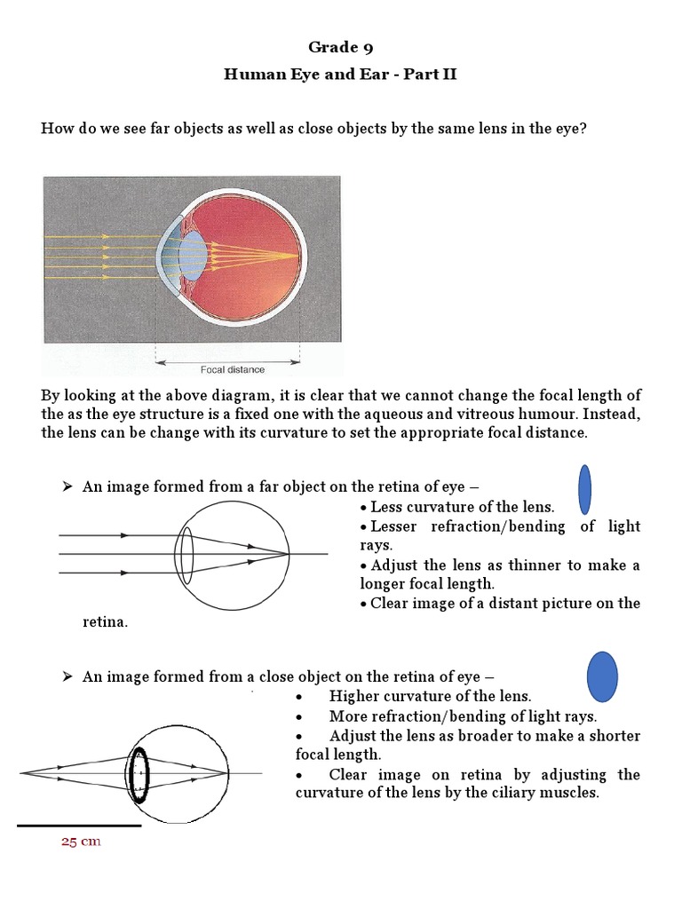 Grade 9 Science: Eye and Ear Overview | PDF | Eye | Human Eye