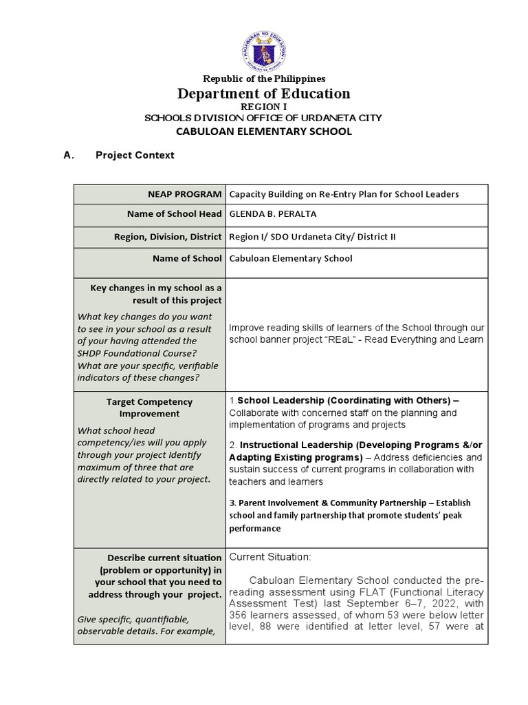 REAP Template | Download Free PDF | Learning | Teachers