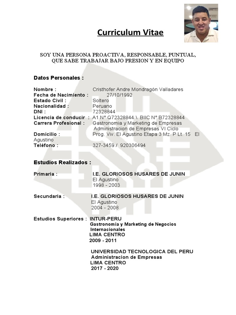 Curriculum Vitae Andre | PDF | Business | Economias